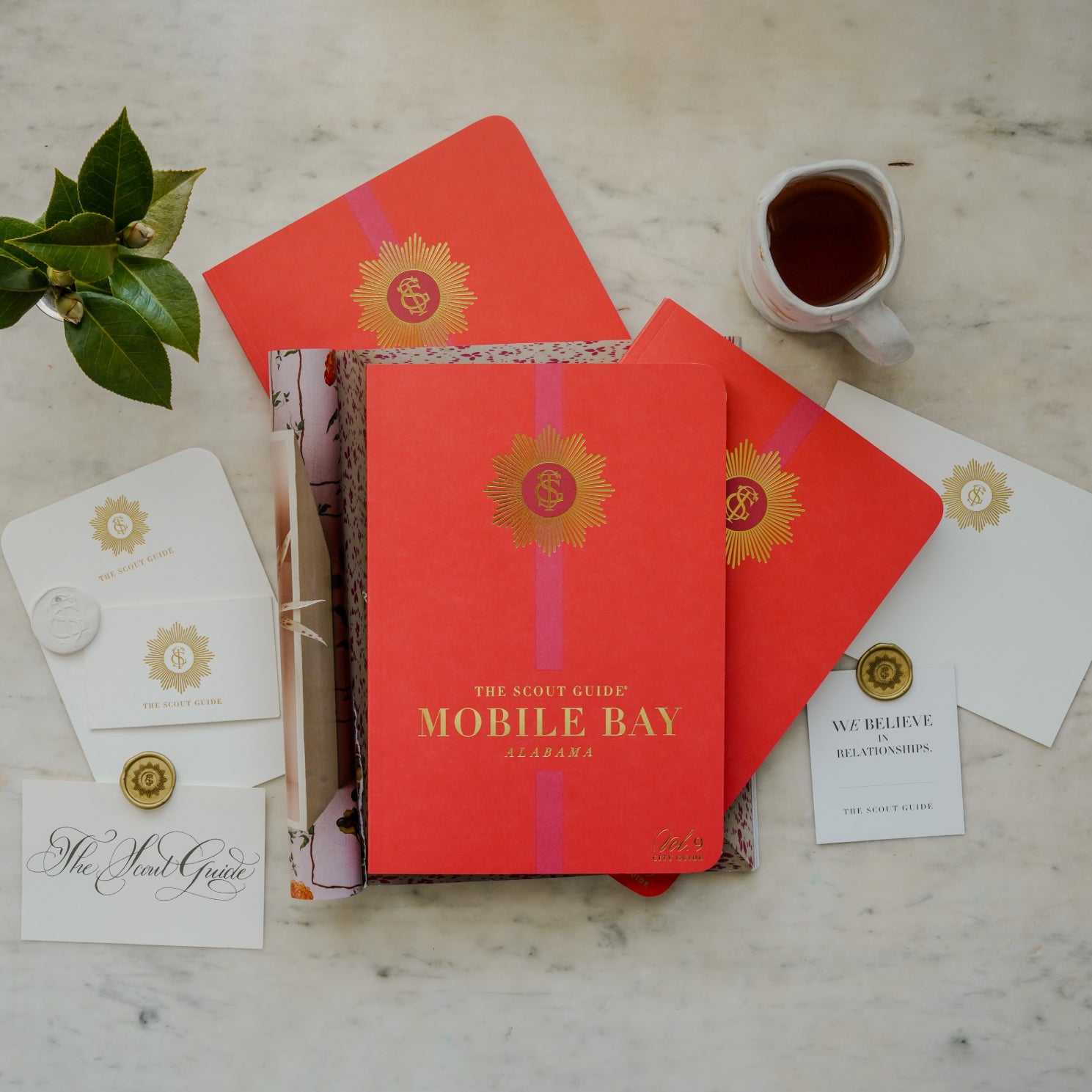 Mobile Bay, Volume 9 – The Scout Guide